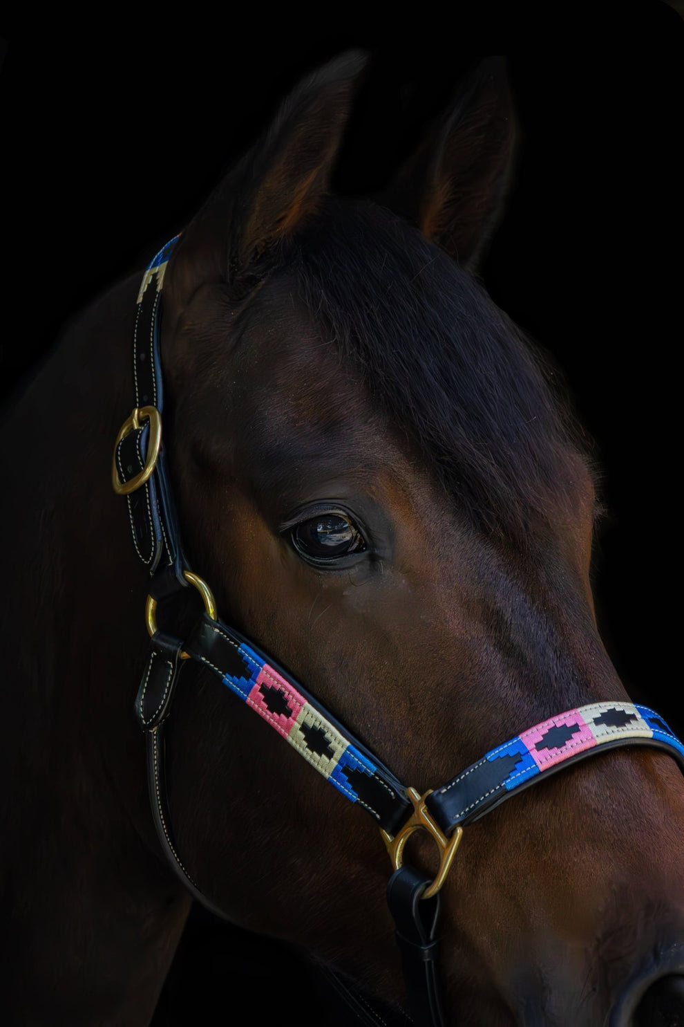 Leren Polo Halster Roze Wit Blauw – Leren Polo Halster –MTB Equestrian